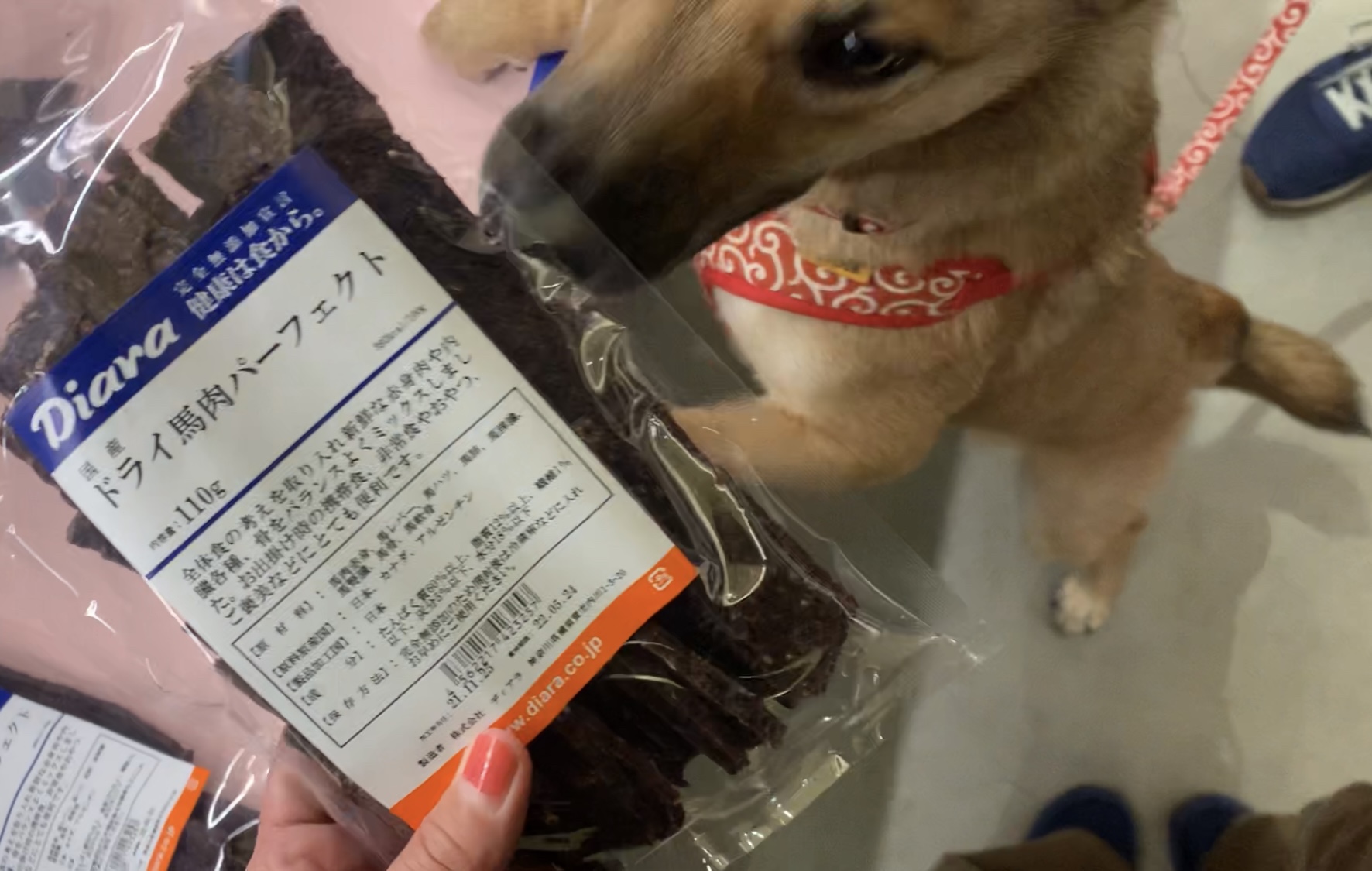 img_3164｜ラウドバンドのベース女子道